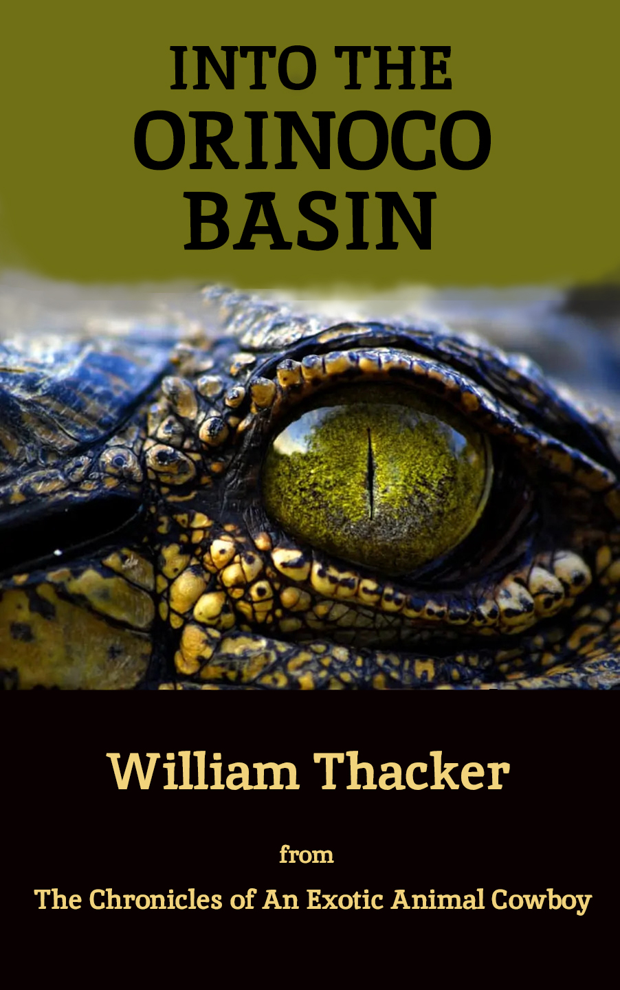 Into the Orinoco – William Thacker